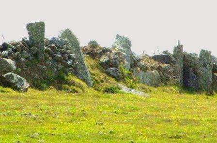 The Great Cornish Hedges Survey! | Let's Talk Cornwall