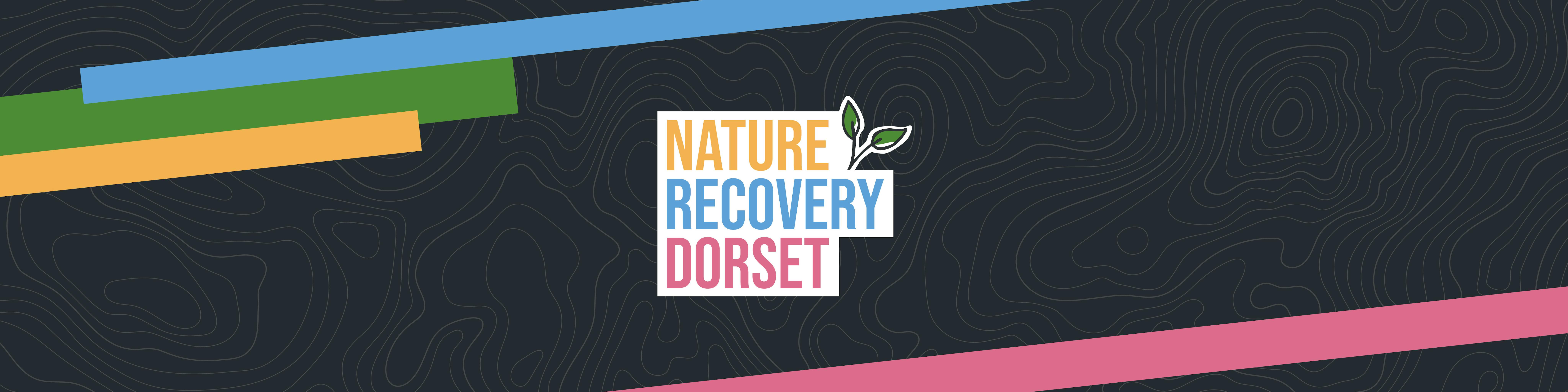 Local Nature Recovery Strategy Consultation | Have Your Say Bournemouth ...