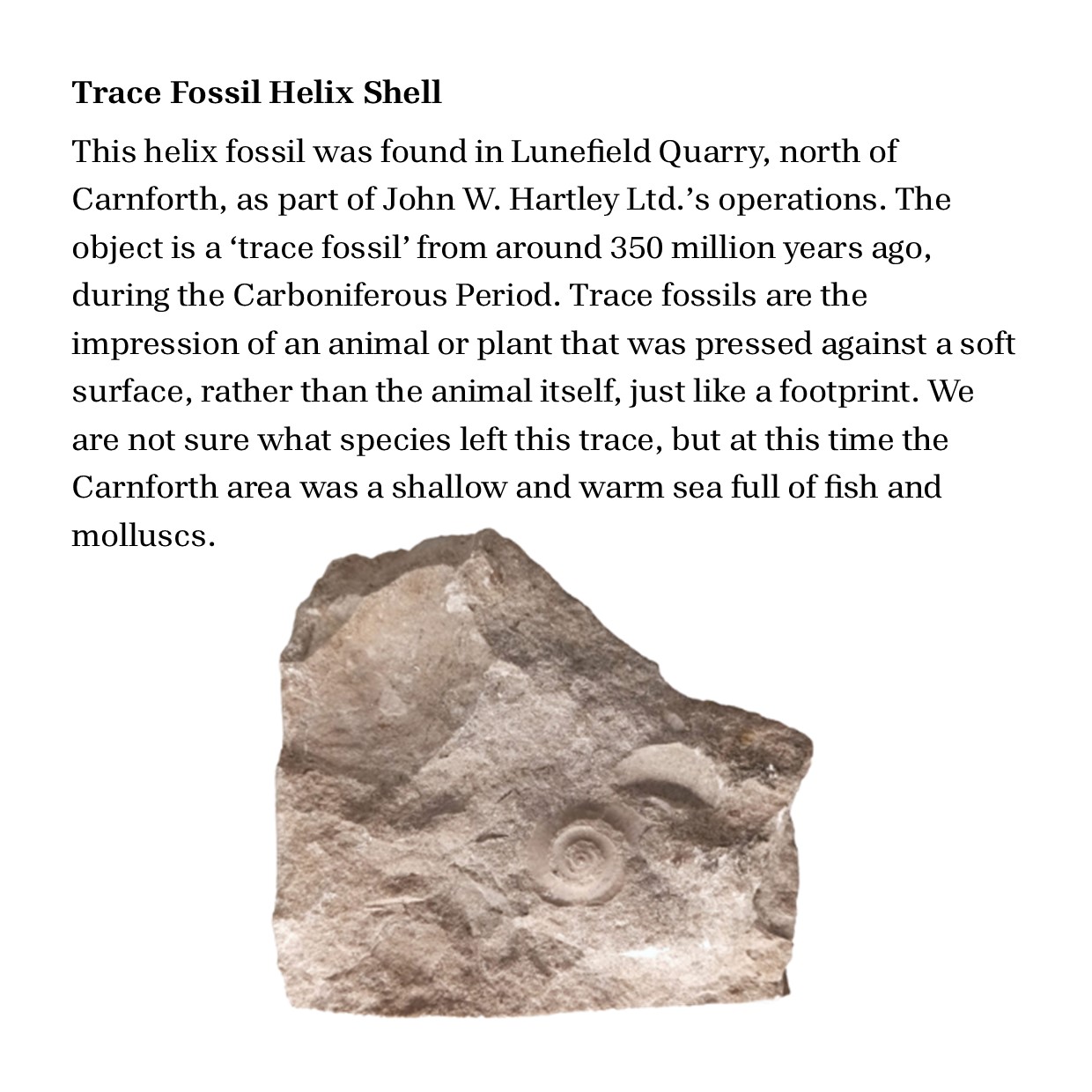 Before the Romans | KeepConnected