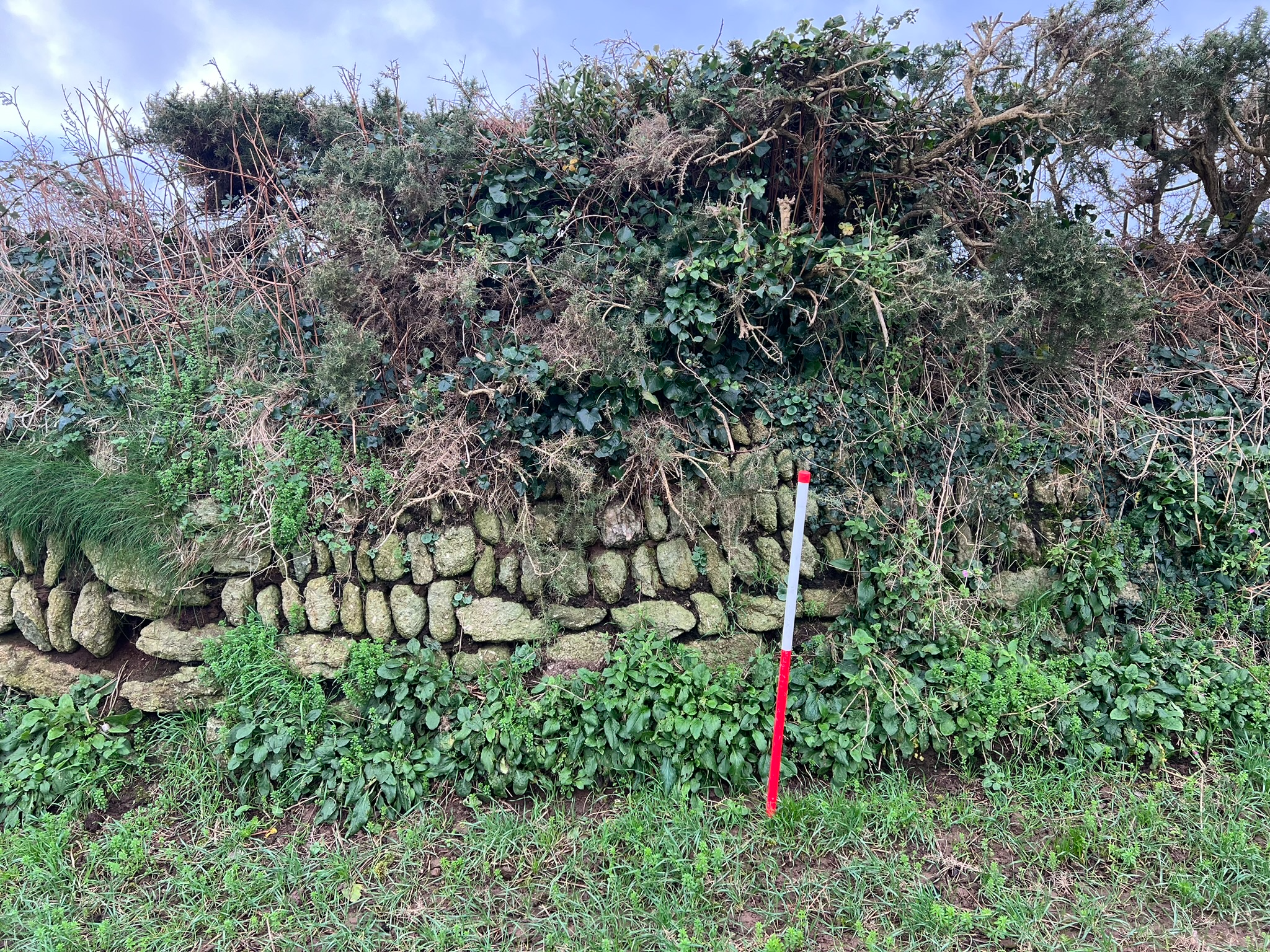 The Great Cornish Hedges Survey! | Let's Talk Cornwall