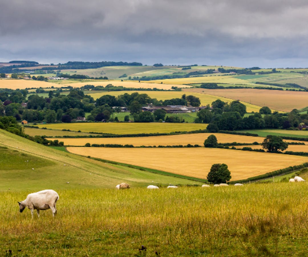 Wealden Draft Local Plan Regulation 18 Consultation | Let's Talk Wealden