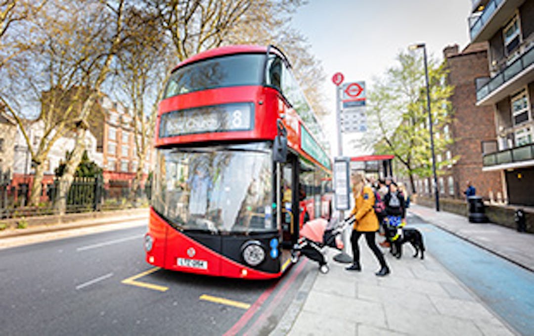 Route 419 hail and ride conversion to fixed stops | Have Your Say ...