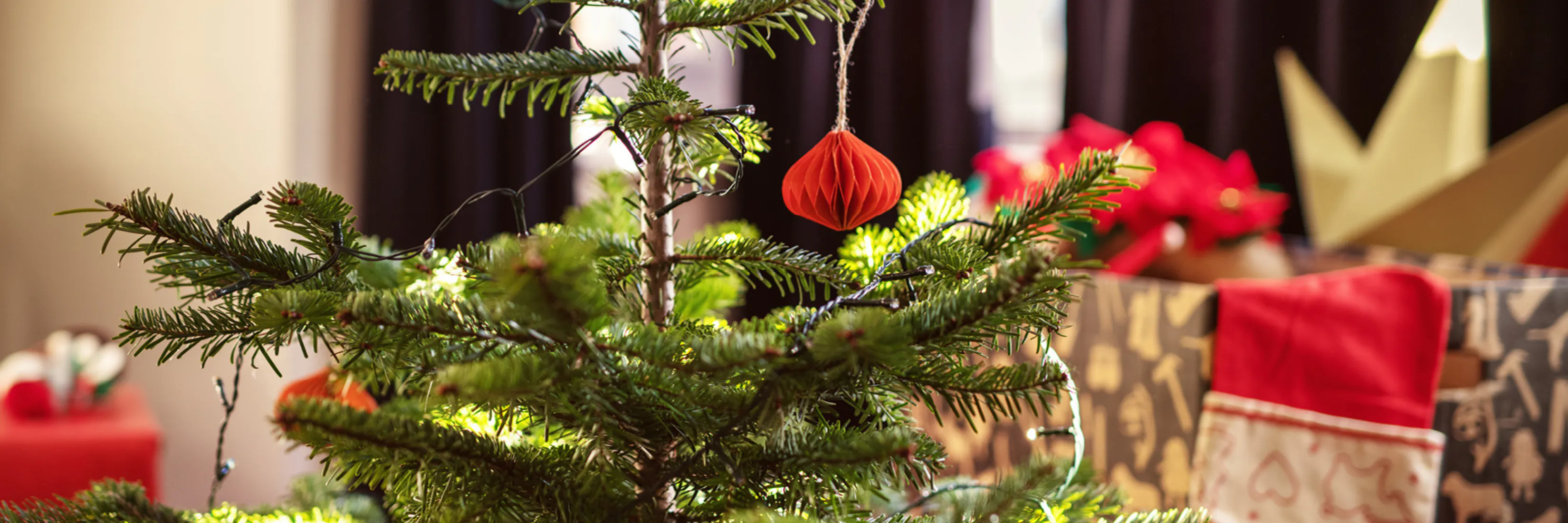Christmas and New Year Rubbish and Recycling Collections | Let's Talk ...