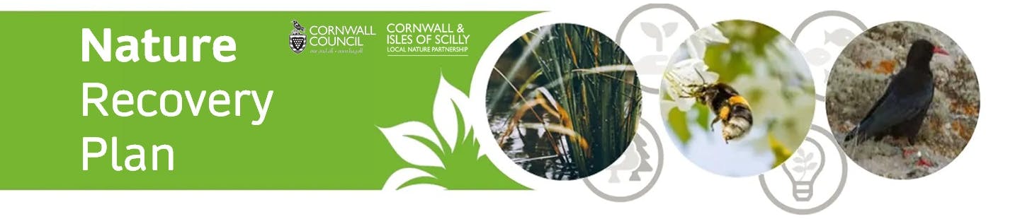 What is a Nature Recovery Plan? | Let's Talk Cornwall
