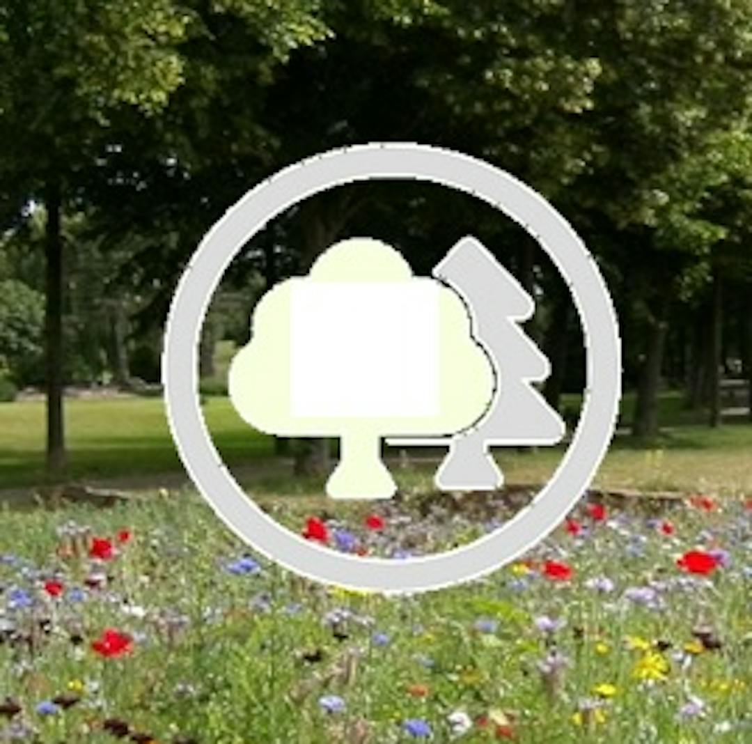 What is a Nature Recovery Plan? | Let's Talk Cornwall