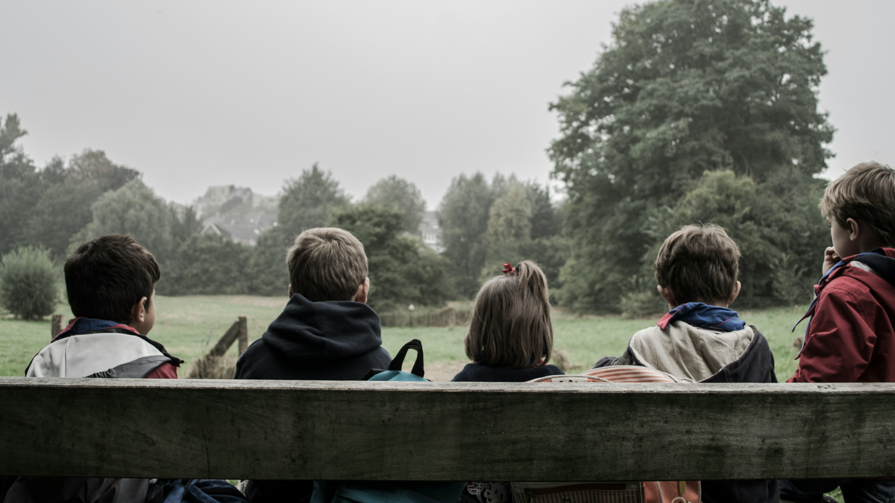 Youth Voice - Trauma Priority | Your Say Our Future