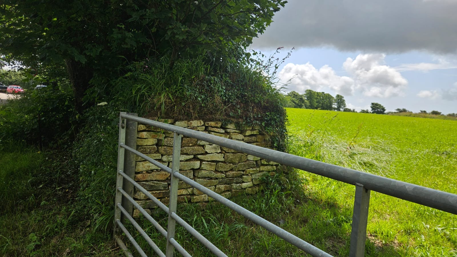The Great Cornish Hedges Survey! | Let's Talk Cornwall