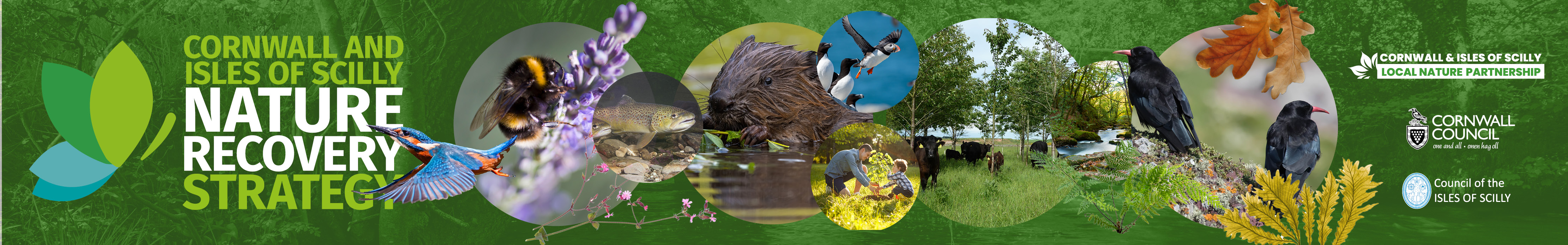 Nature Recovery Strategy - Cornwall Survey | Let's Talk Cornwall