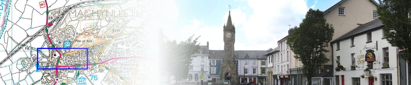 Machynlleth Street Trees Consultation | Have Your Say Powys