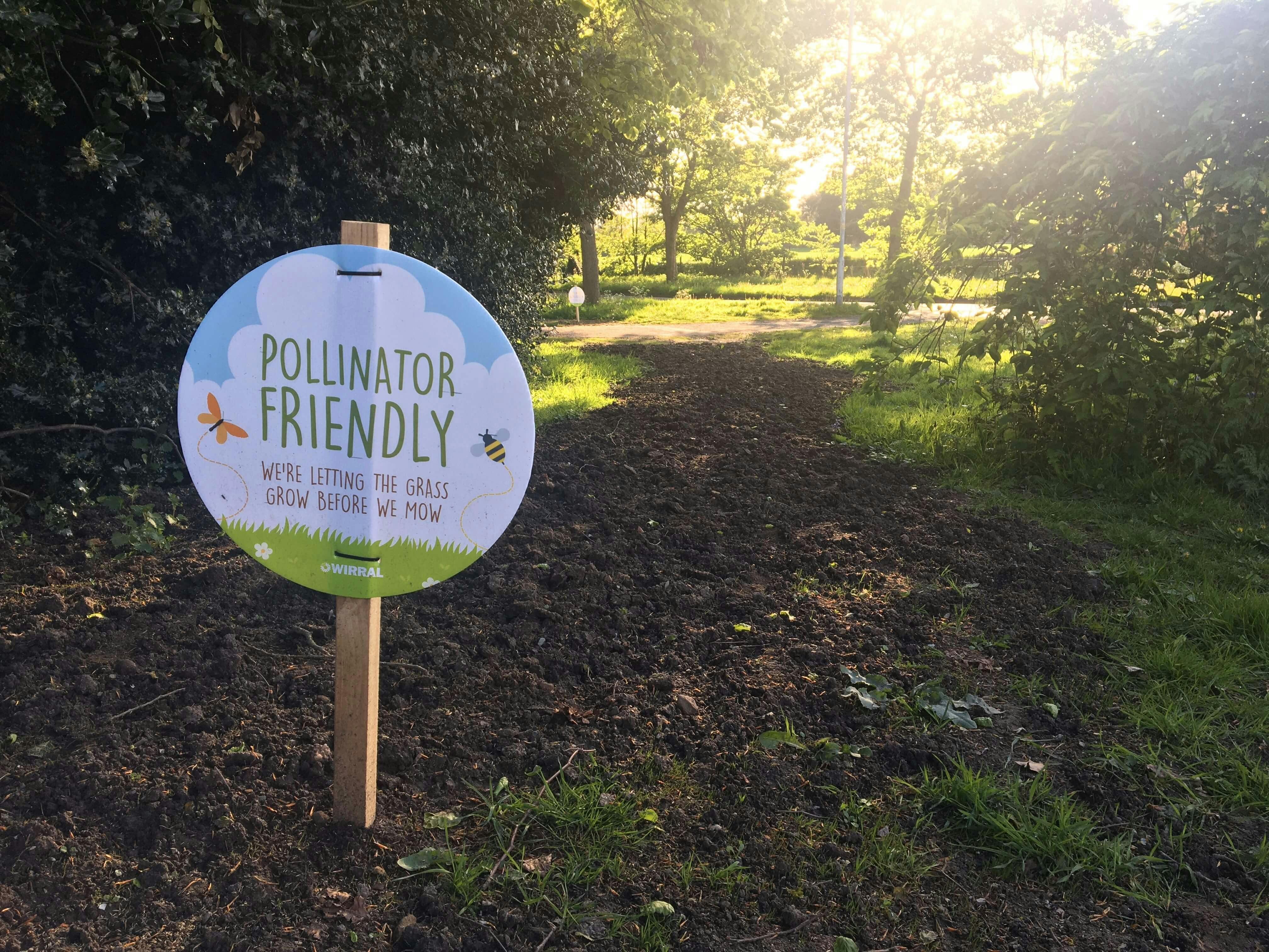 Pollinator Site Examples | Wirral Pollinator Strategy Consultation ...