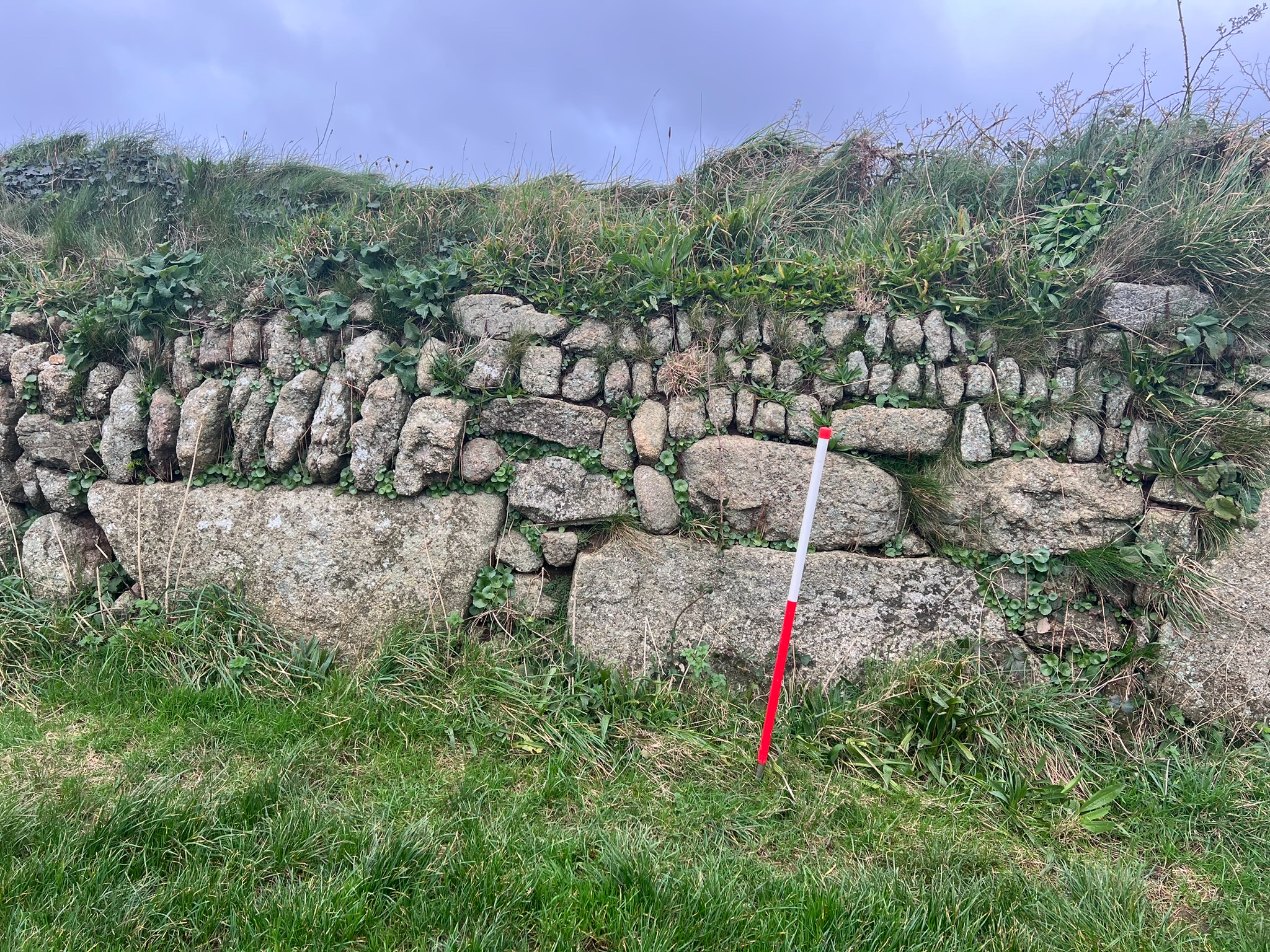 The Great Cornish Hedges Survey! | Let's Talk Cornwall
