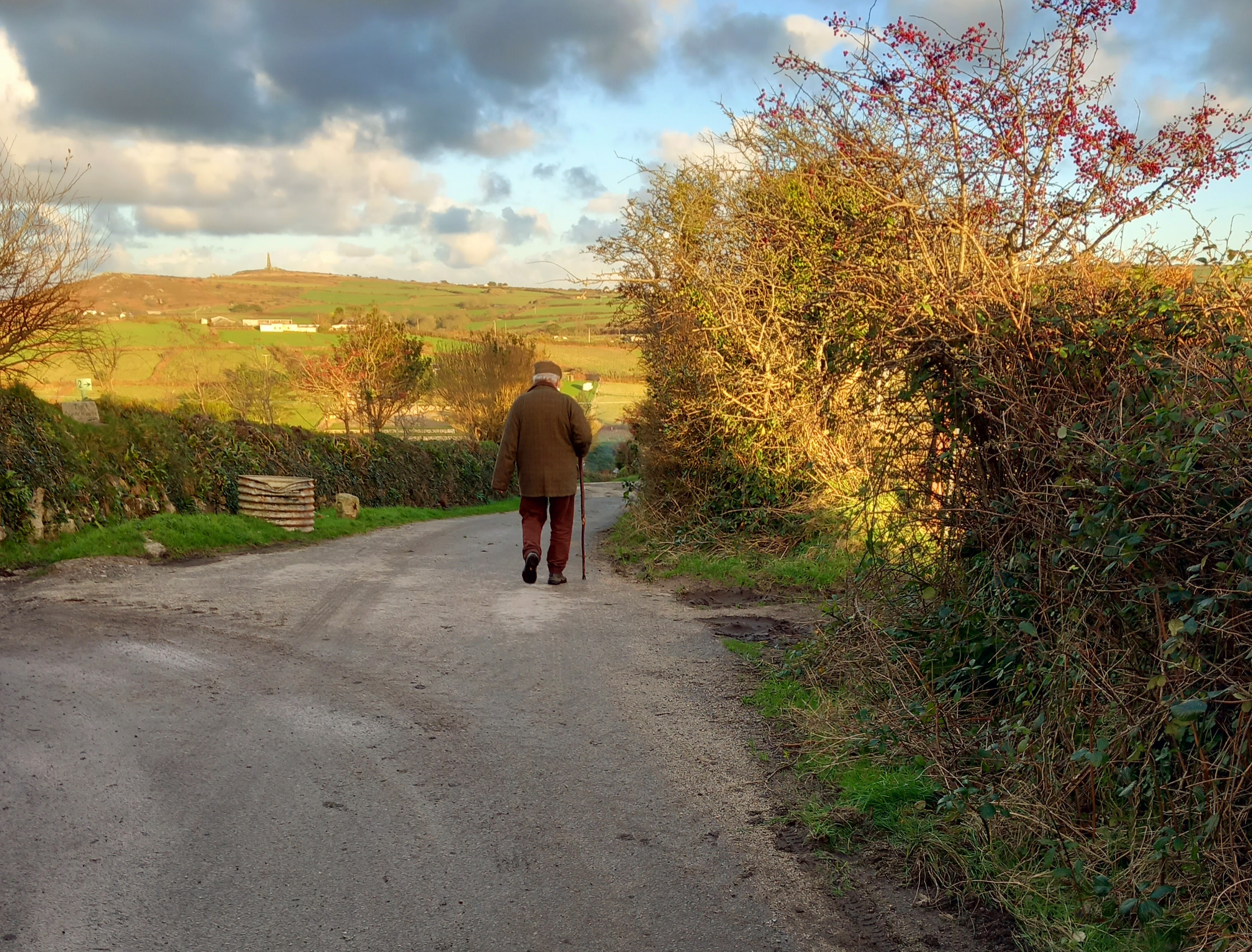 The Great Cornish Hedges Survey! | Let's Talk Cornwall