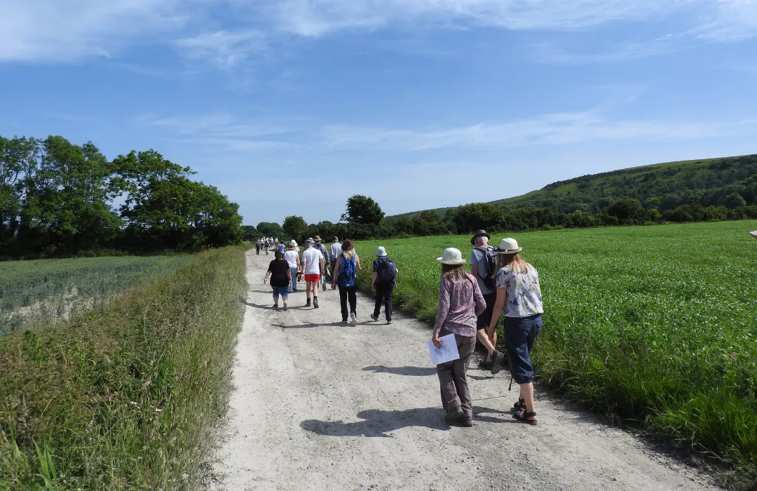 Community Climate Action Groups in Wealden | Let's Talk Wealden