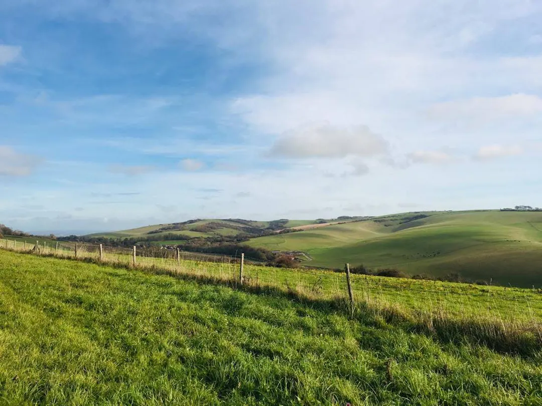 Wealden's Climate Change Strategy | Let's Talk Wealden